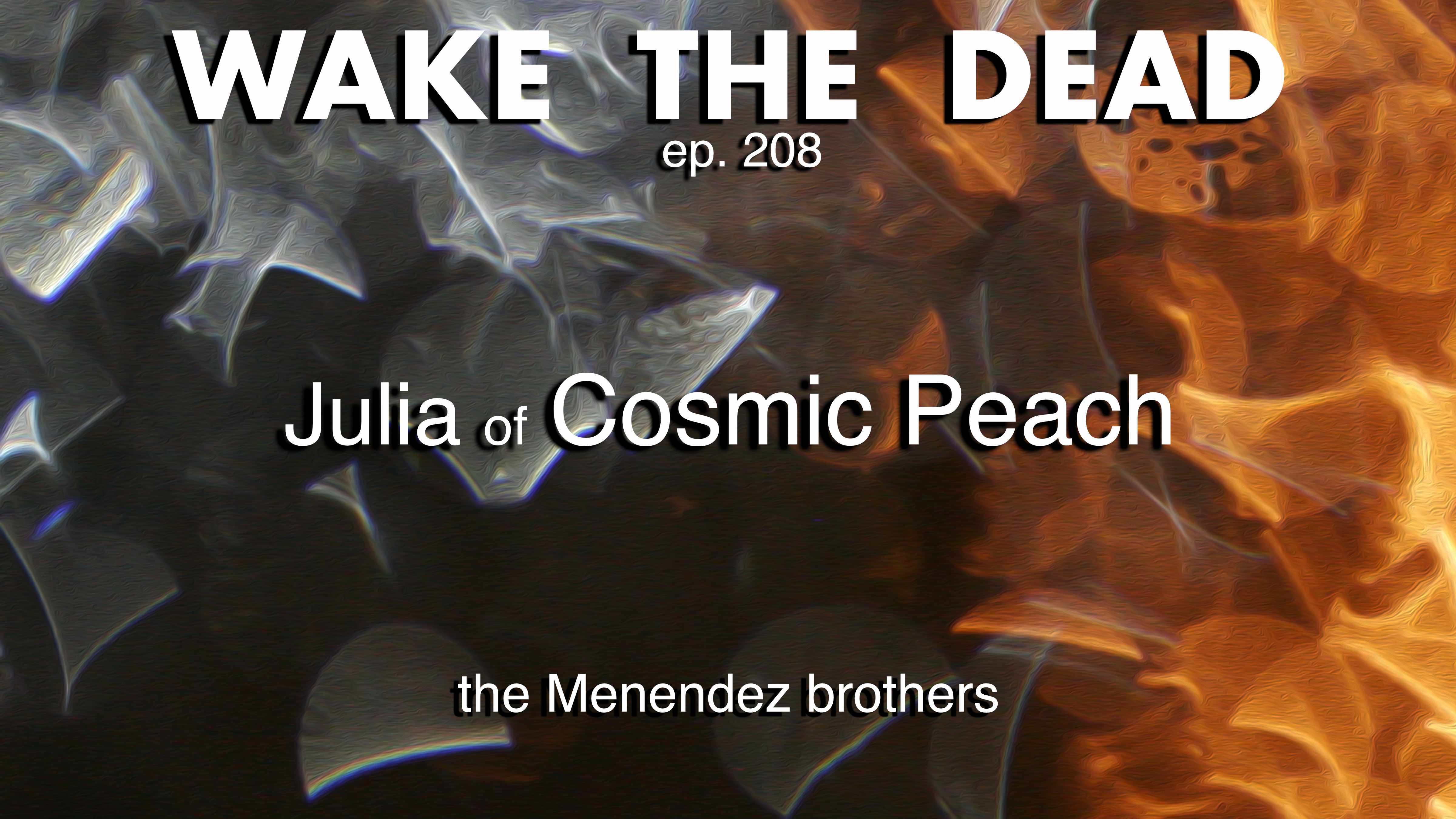 WTD ep.208 Cosmic Peach 'the Menendez Bros.' - One Great Work Network